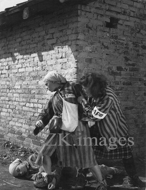 Auschwitz concentration camp kapo jakubowska 1947 woman | eBay